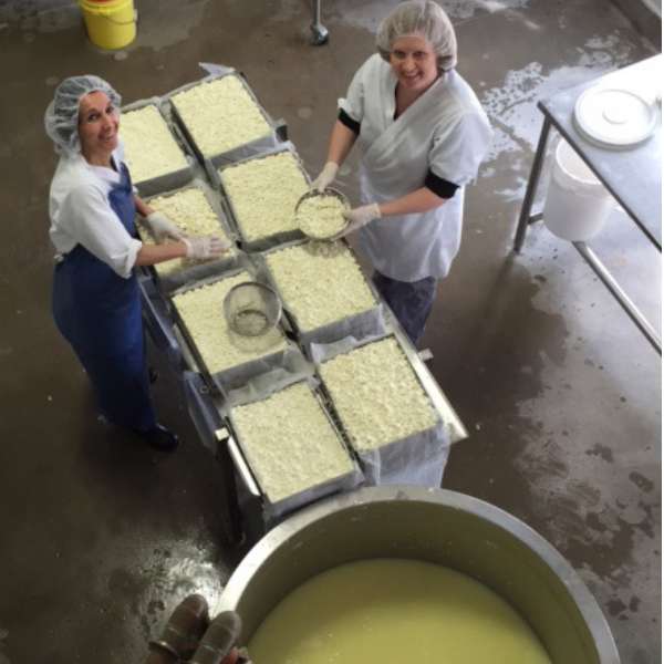 100km Foods |Best Baa Dairy | 100km Foods Producer Profile