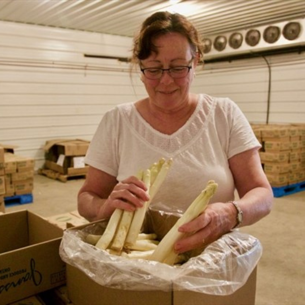100km Foods |Jannsen Produce | 100km Foods Producer Profile