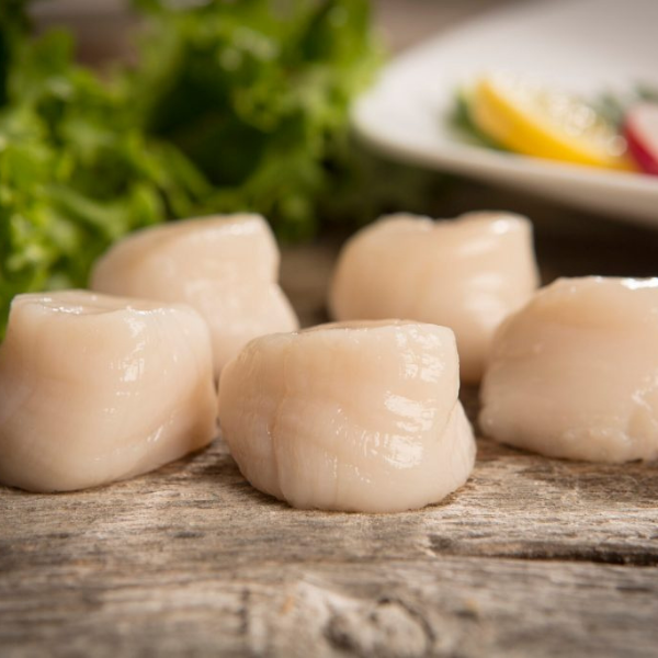 100km Foods |100km Foods Producer Profile | Nautical Seafoods