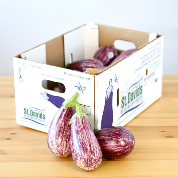 100km Foods |St. David's Hydroponics | 100km Foods Producer Profile